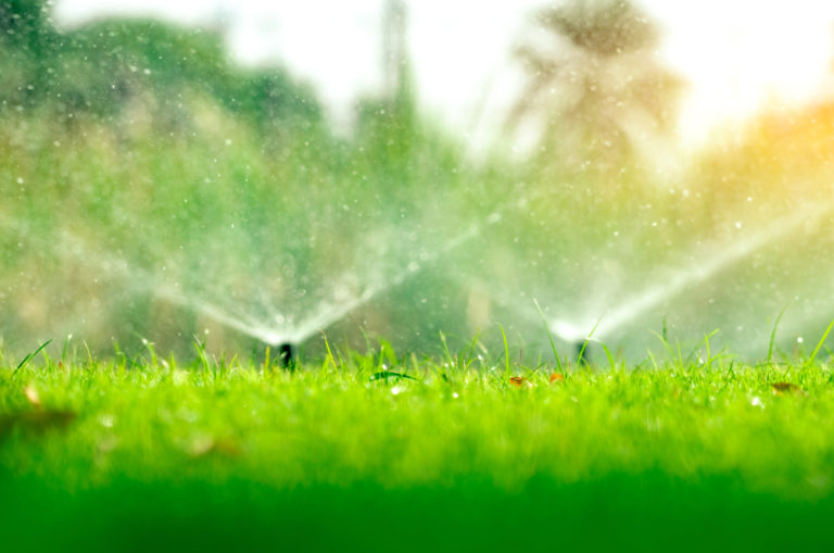 Your Complete Guide to Irrigation Systems